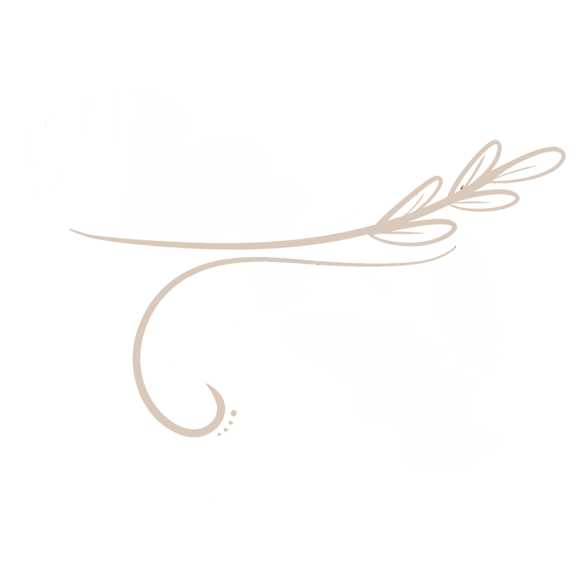 Alyssa Bardy Photography